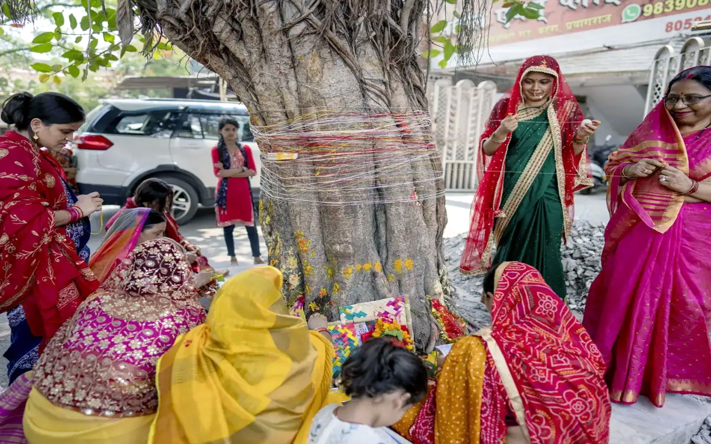 Vat Purnima Vrat 2025: Sacred Rituals, Dos And Don’ts For A Blessed ...